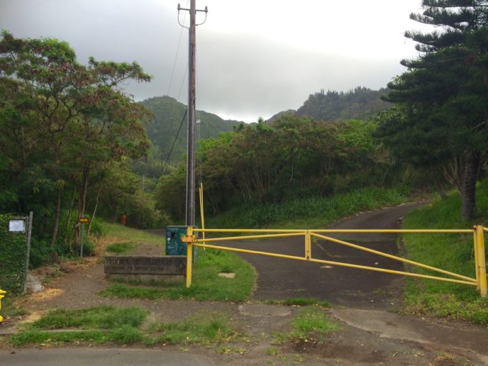 Kuli'ou'ou Ridge Trail - Oahu, Hawaii Hike