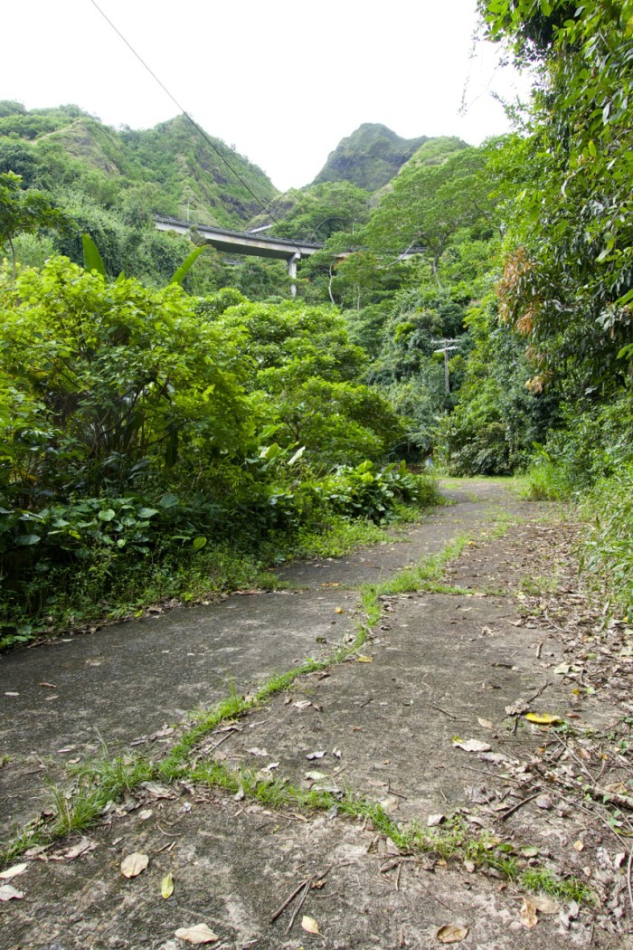 Ko'olau Hike: Golf Course to Pali Look-Out