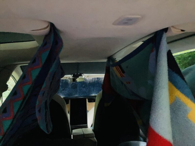 Sleeping in a Tesla Model X: What I Learned Solo Camping Off Grid